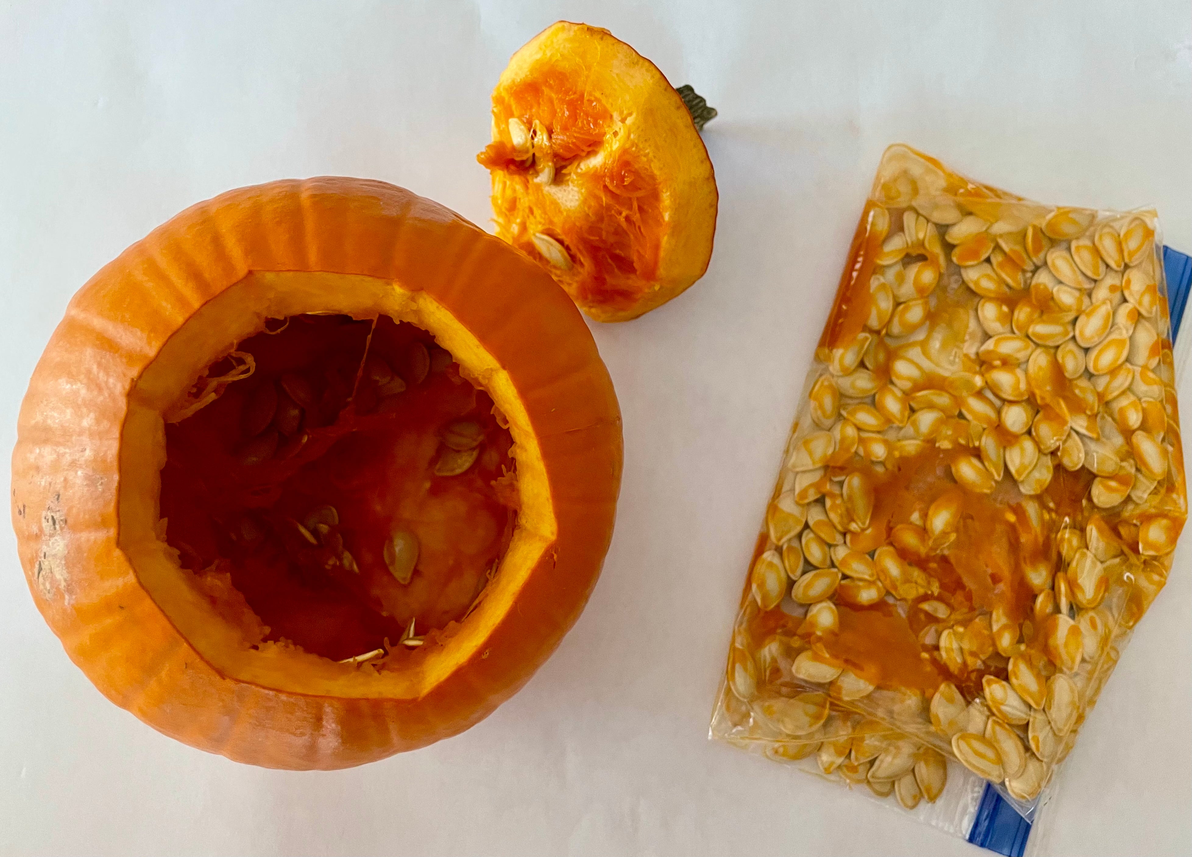 What's Inside a Pumpkin? Activity with Free Printable! – Subscription ...